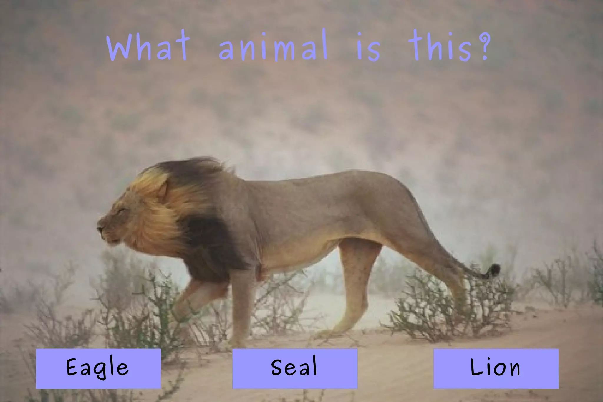 Wild animals ppt | ODP