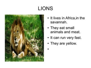 Wild animals tema 2 .andrea 5b | ODP
