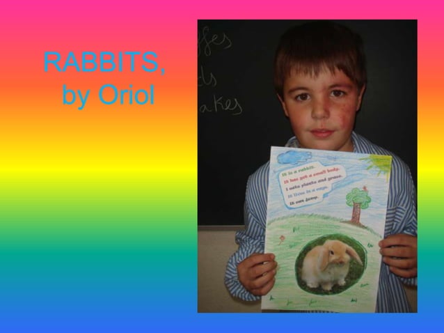 Wild animals year3 | PPTX
