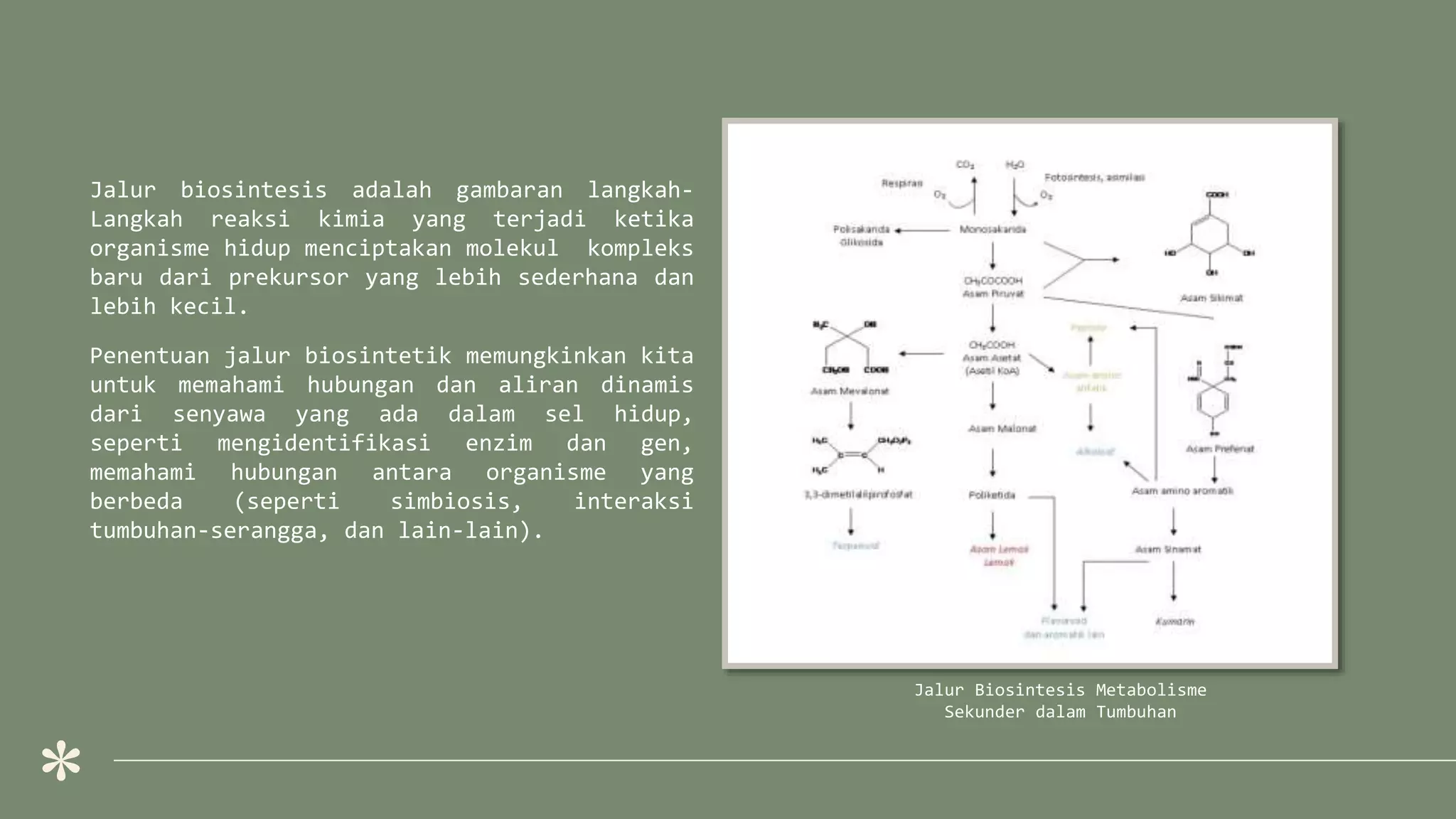 Biosintesis Metabolit Sekunder.pptx