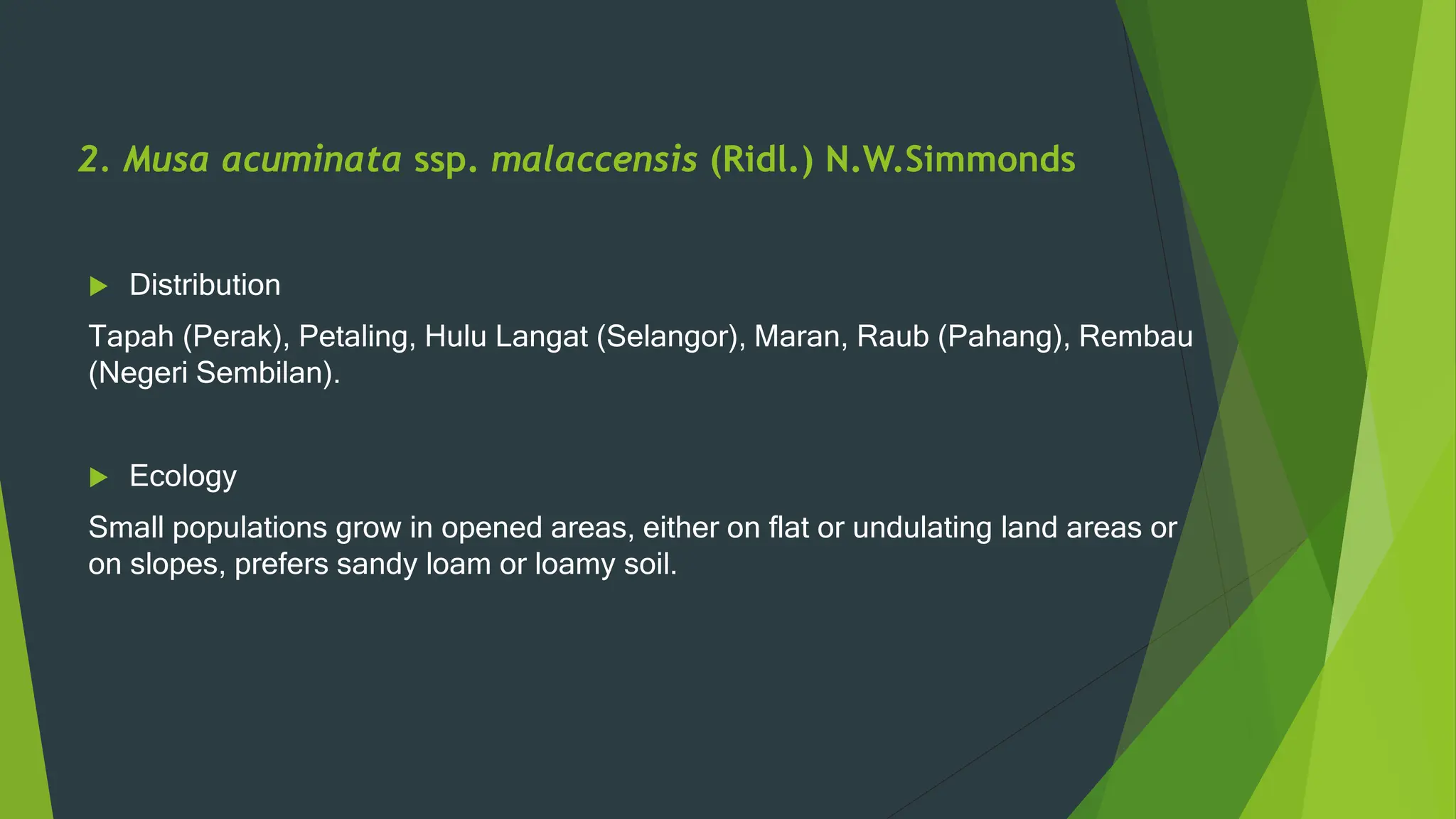 Wild Bananas of Malaysia (P. Malaysia & Sabah).pptx