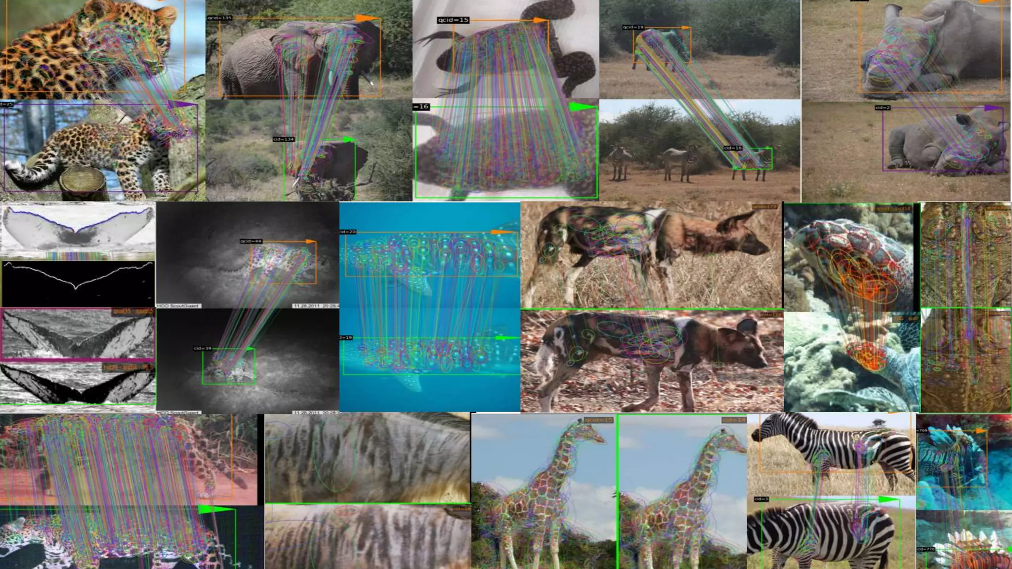Crowdsourcing, computer vision, and data science for conservation ...