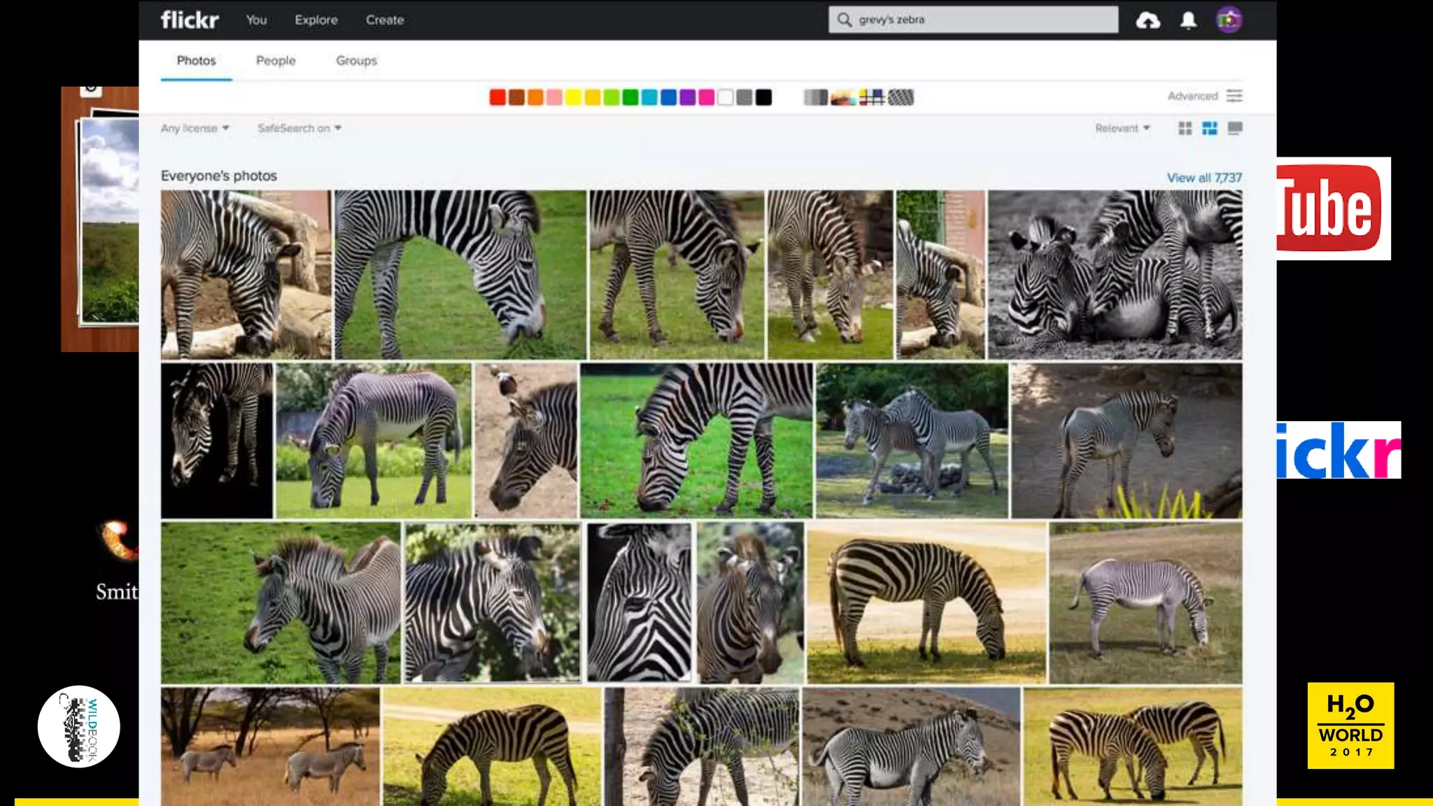 Crowdsourcing, computer vision, and data science for conservation ...