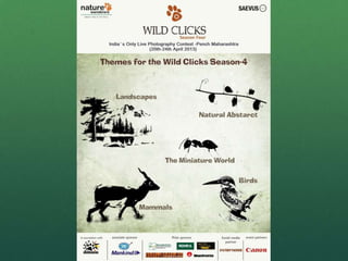 WILD CLICKS SEASON 4 | PPTX | Hunting and Shooting | Sports