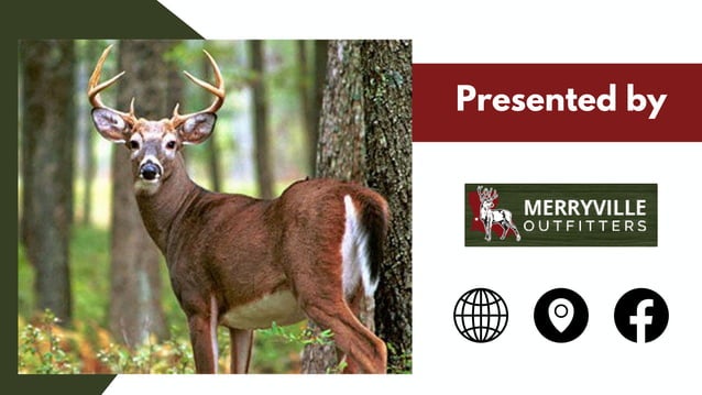 Wild Deer Hunting Adventure | PDF
