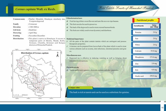 Wild Edible Fruits of Himachal Pradesh.pdf