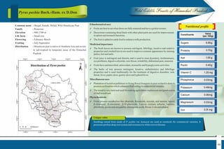 Wild Edible Fruits of Himachal Pradesh.pdf