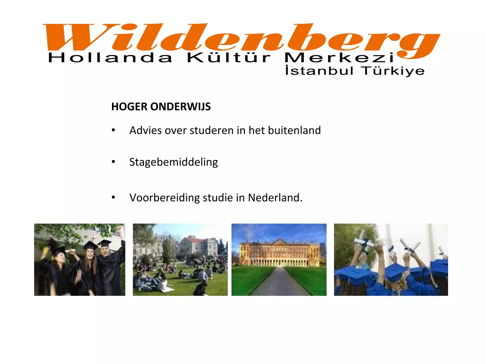 Wildenberg Sunumu | PPT