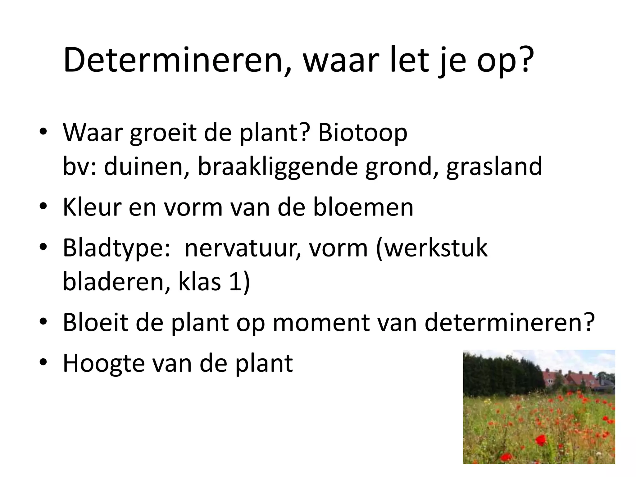 Wilde planten, project klas 5 | PPTX | Gardening | Home & Garden