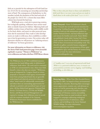 Out of the Wilderness: Building Christian Faith and Keeping God's ...