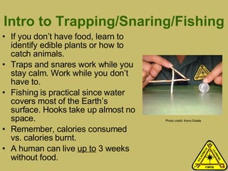 Wilderness Survival Primer | PPT