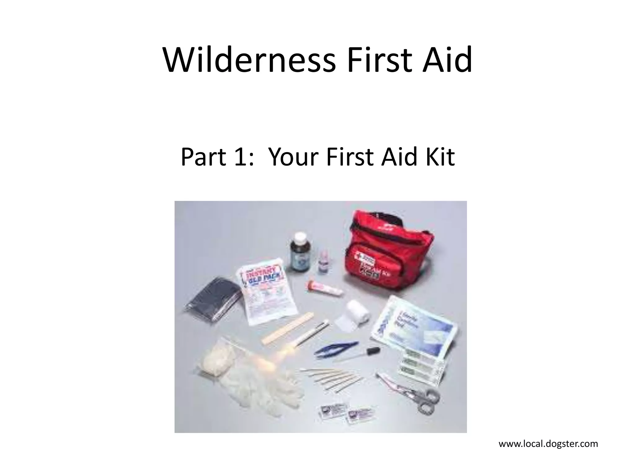 ONTAP - Wilderness First Aid 1 | PPTX
