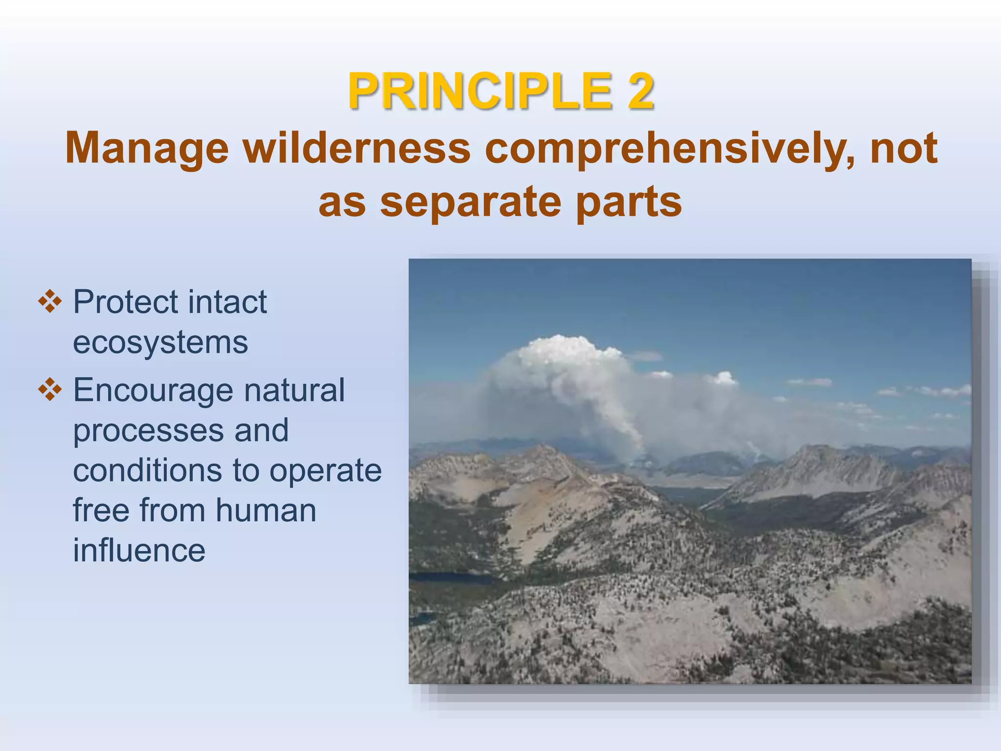 Wilderness Management Principles | PPTX