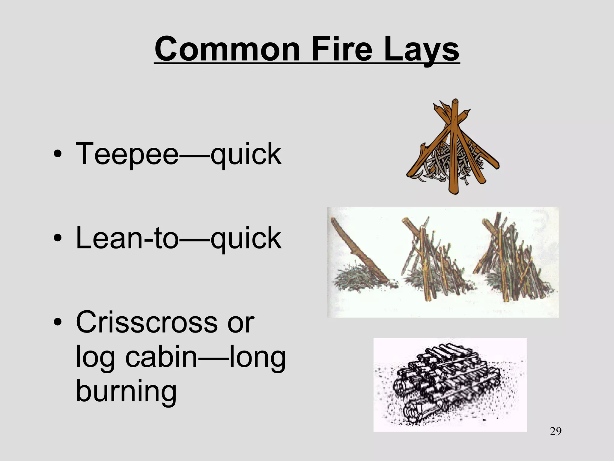 Wilderness survival | PPT