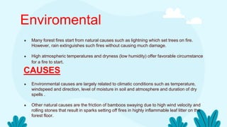 wildfire-prevention-campaign[1][1].pptx