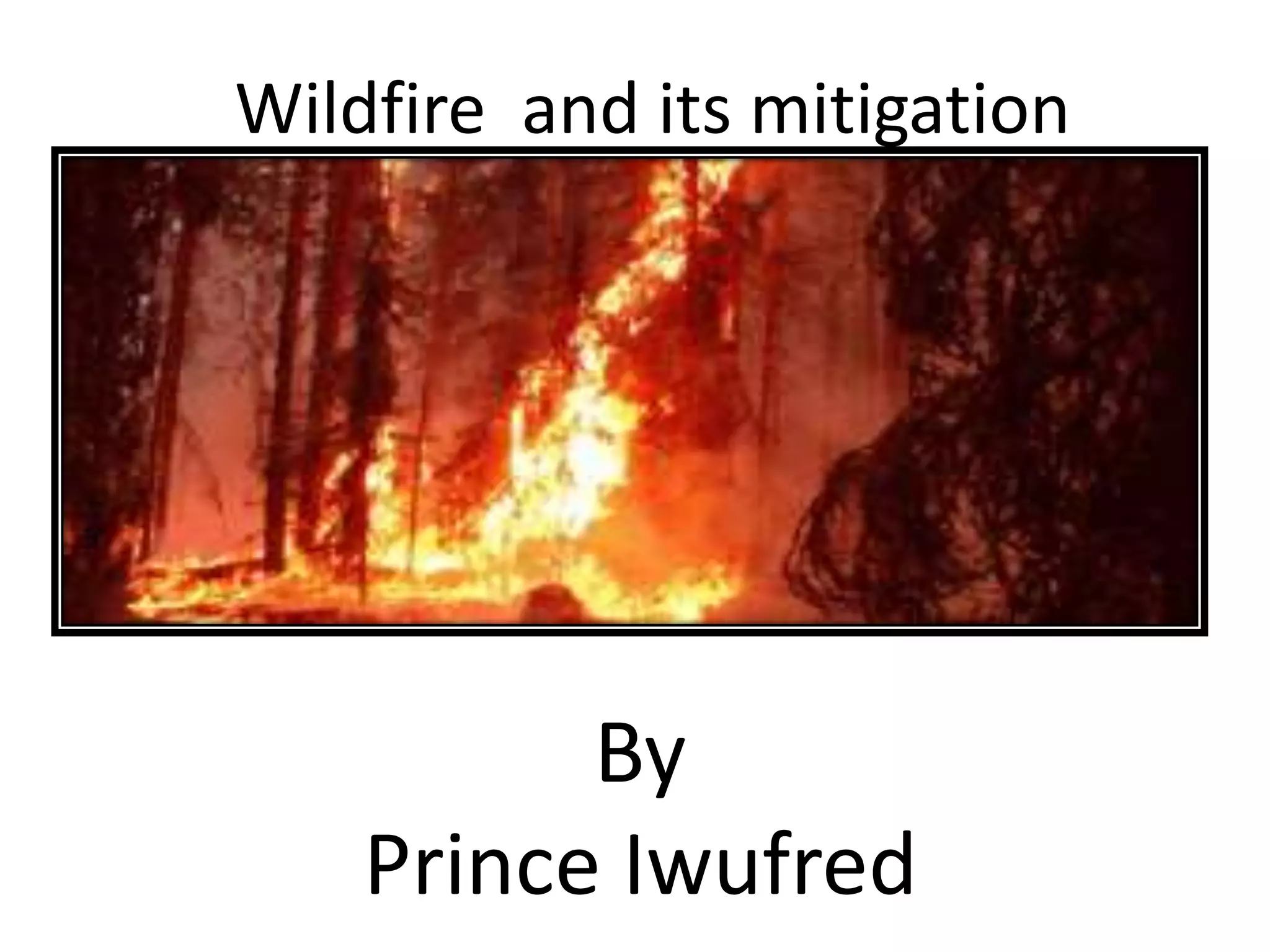 Mitigation of Wildfire | PPTX