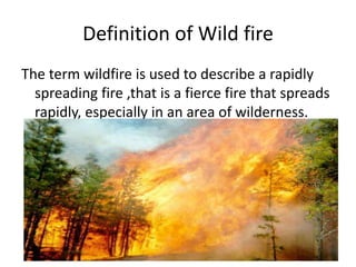 Mitigation of Wildfire | PPTX | Indoor Environmental Quality | Home ...