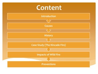 Wild Fire in America | PPT