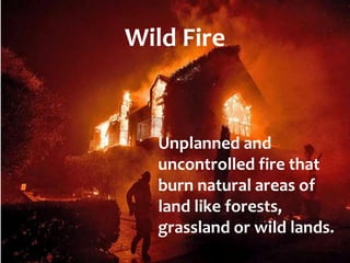 Wild Fire in America | PPTX