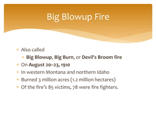 Wild Fire in America | PPT