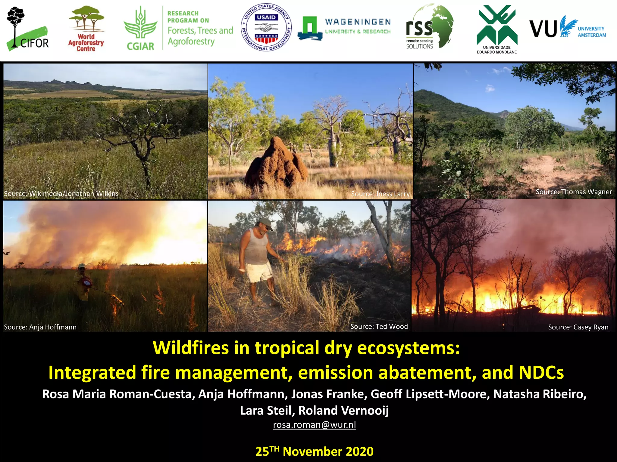 Wildfires in tropical dry ecosystems: Integrated fire management ...