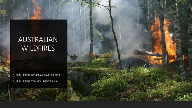 Wildfires | PPT