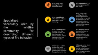 wildfires DISATER ...................... | PPTX