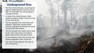 wildfires DISATER ...................... | PPTX