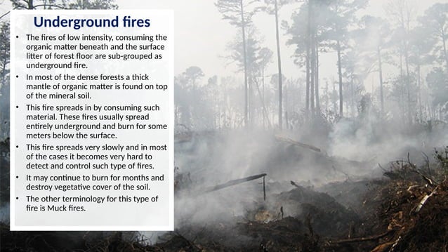 wildfires DISATER ...................... | PPT