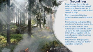 wildfires DISATER ...................... | PPTX