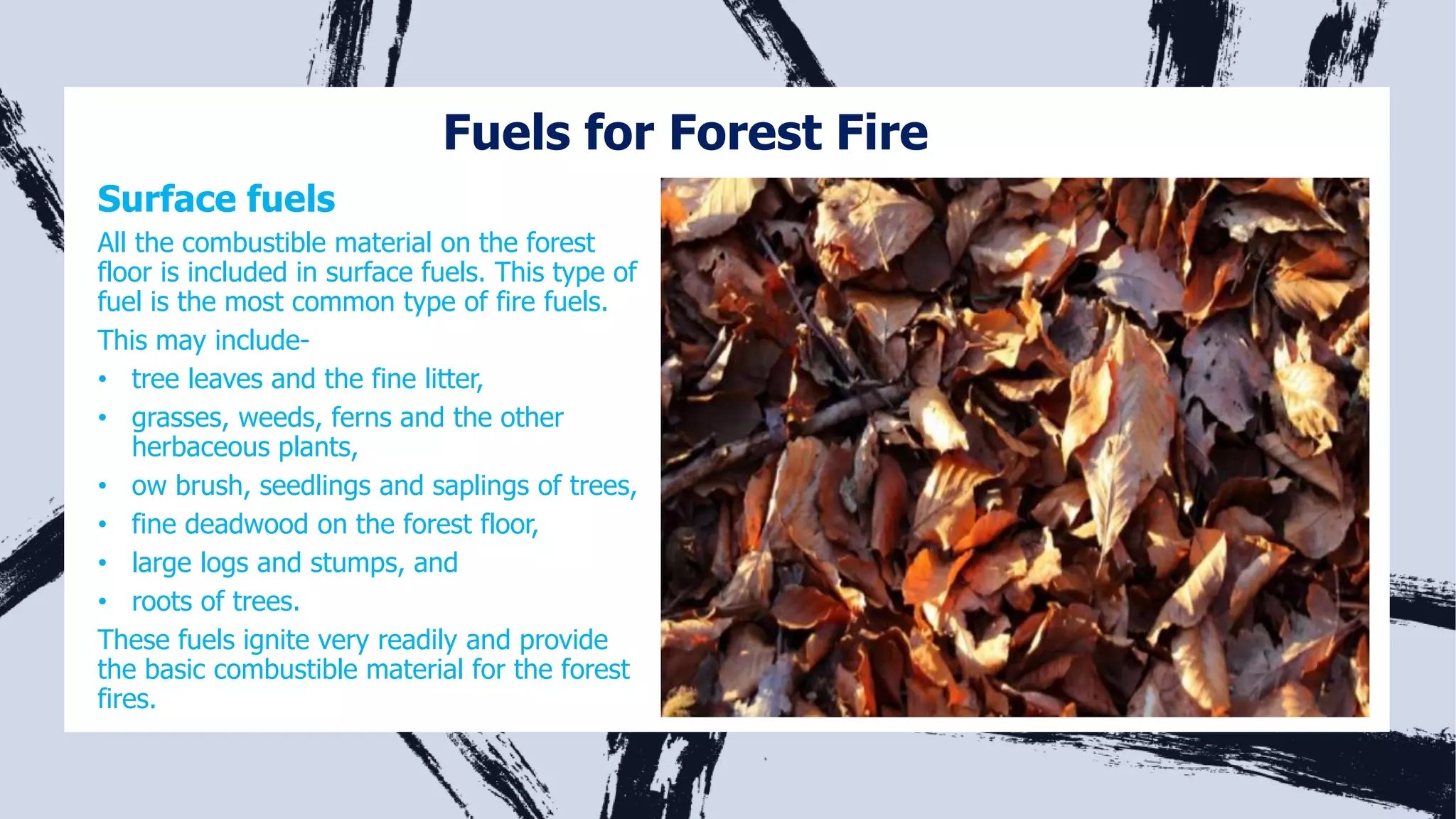 Wildfires | PPTX