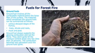 wildfires-220101122849 (1).pdf