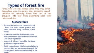 wildfires- of rashia220101122849 (2).pptx