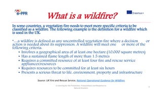 Professionals - Wildfires - Prevention part 1 | PPTX