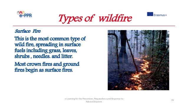 Professionals - Wildfires - Prevention part 2