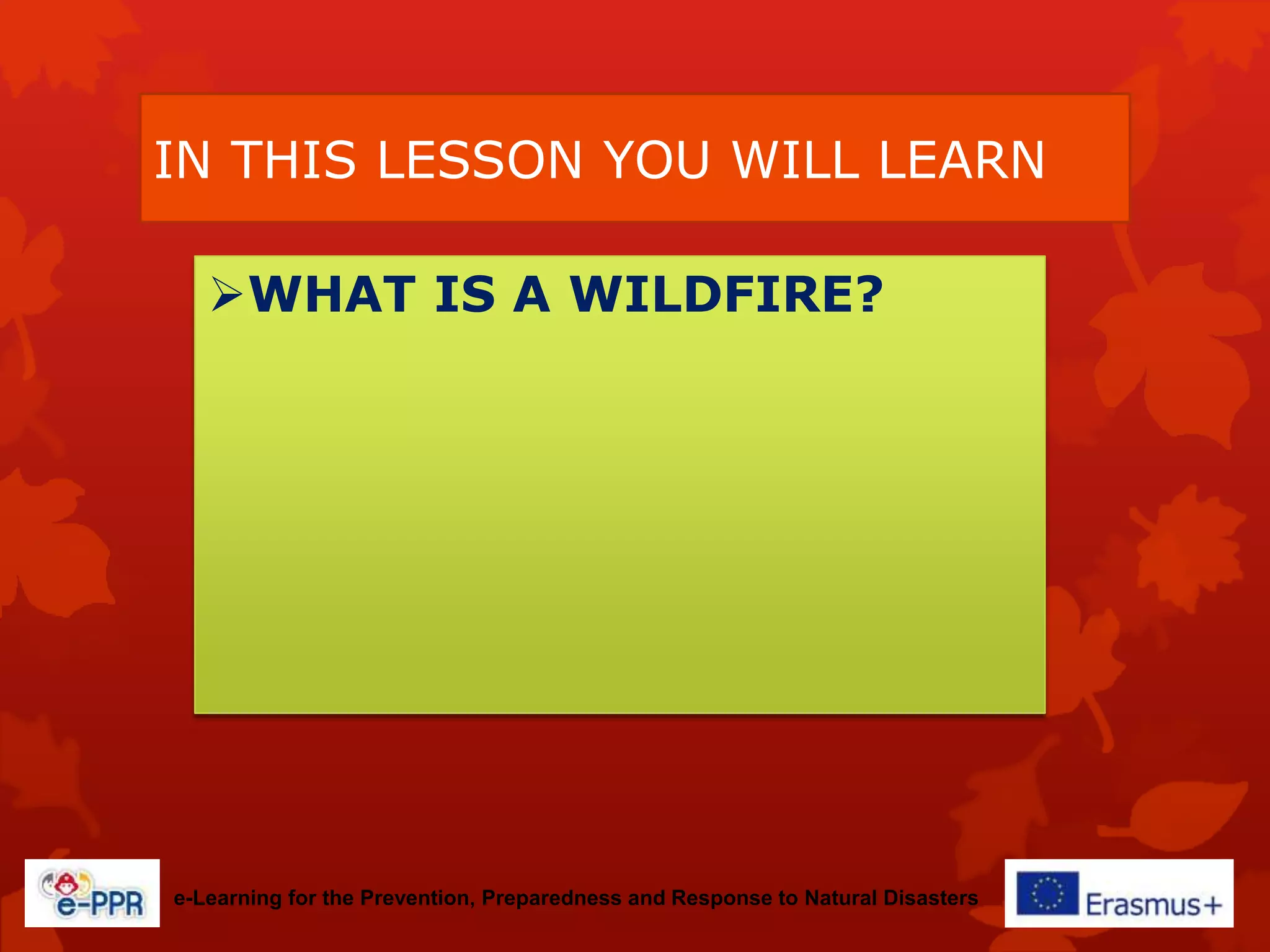 Primary - Wildfires - Prevention | PPTX