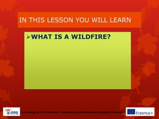 Primary - Wildfires - Prevention | PPTX