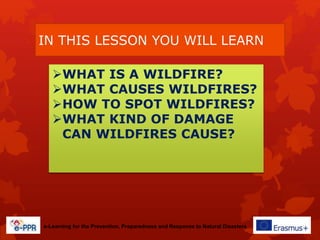 Primary - Wildfires - Prevention | PPTX