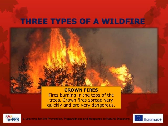 Primary - Wildfires - Prevention