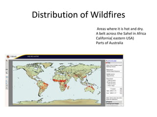 Wildfires revision guide | PPT