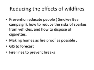 Wildfires revision guide | PPT