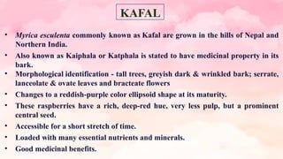 Edible Wild Fruits of Uttarakhand, their Domestication and ...