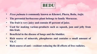 Edible Wild Fruits of Uttarakhand, their Domestication and ...