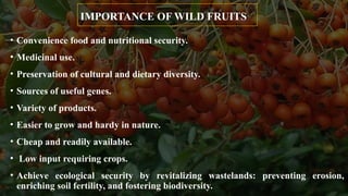 Edible Wild Fruits of Uttarakhand, their Domestication and ...