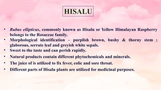 Edible Wild Fruits of Uttarakhand, their Domestication and ...