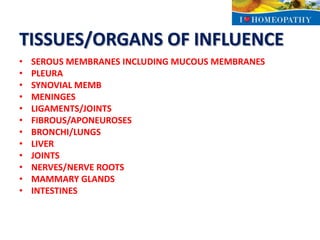 Discover Bryonia | PPTX