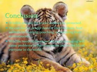 Wildlife | PPTX