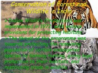 Wildlife | PPTX
