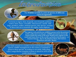 Wildlife | PPT