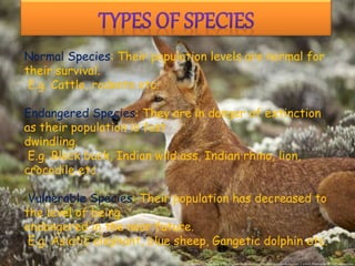 Wildlife | PPT